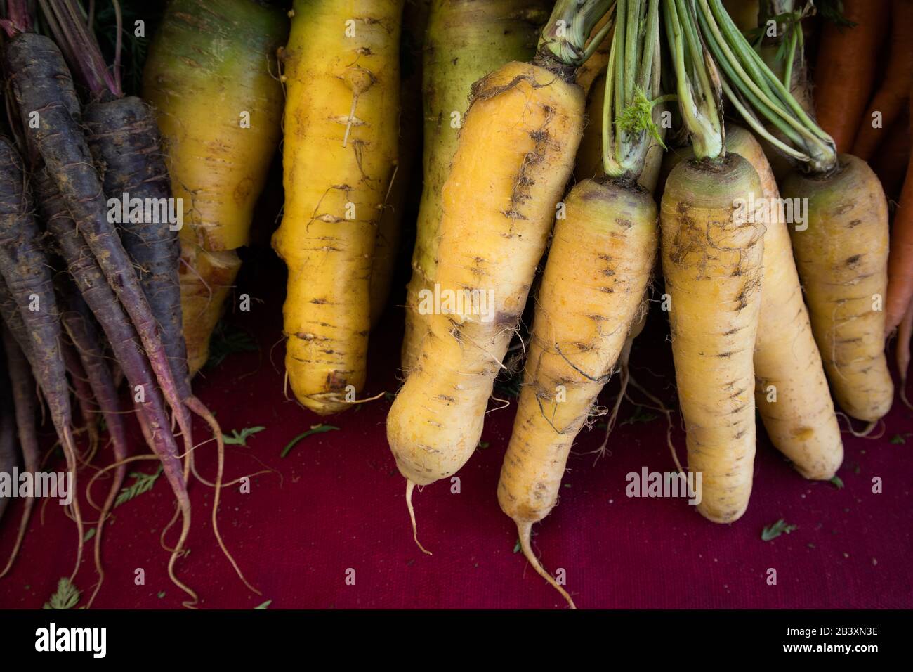 Large carrots hi-res stock photography and images - Alamy