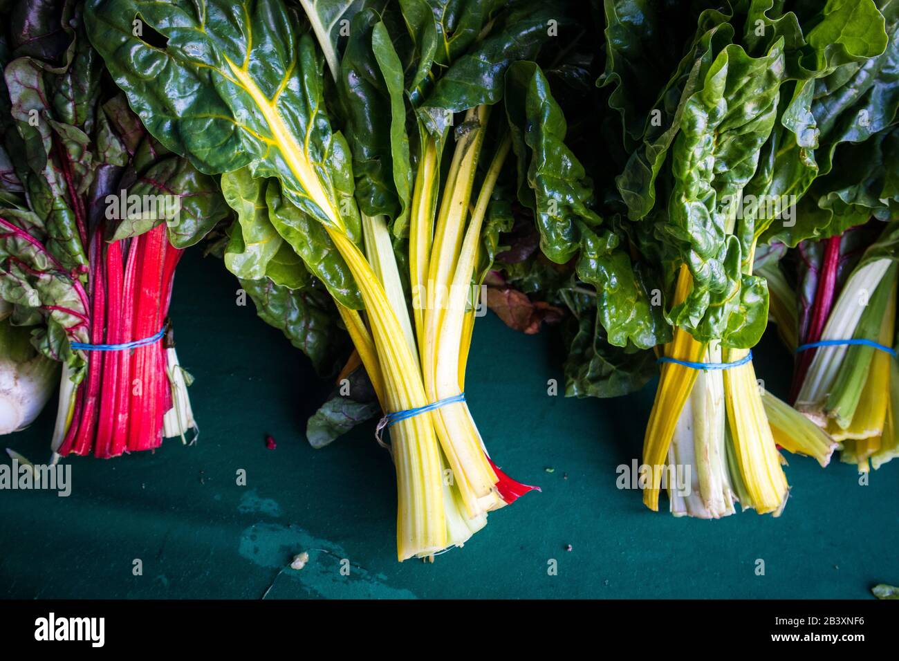 Rainbow leaves hi-res stock photography and images - Alamy