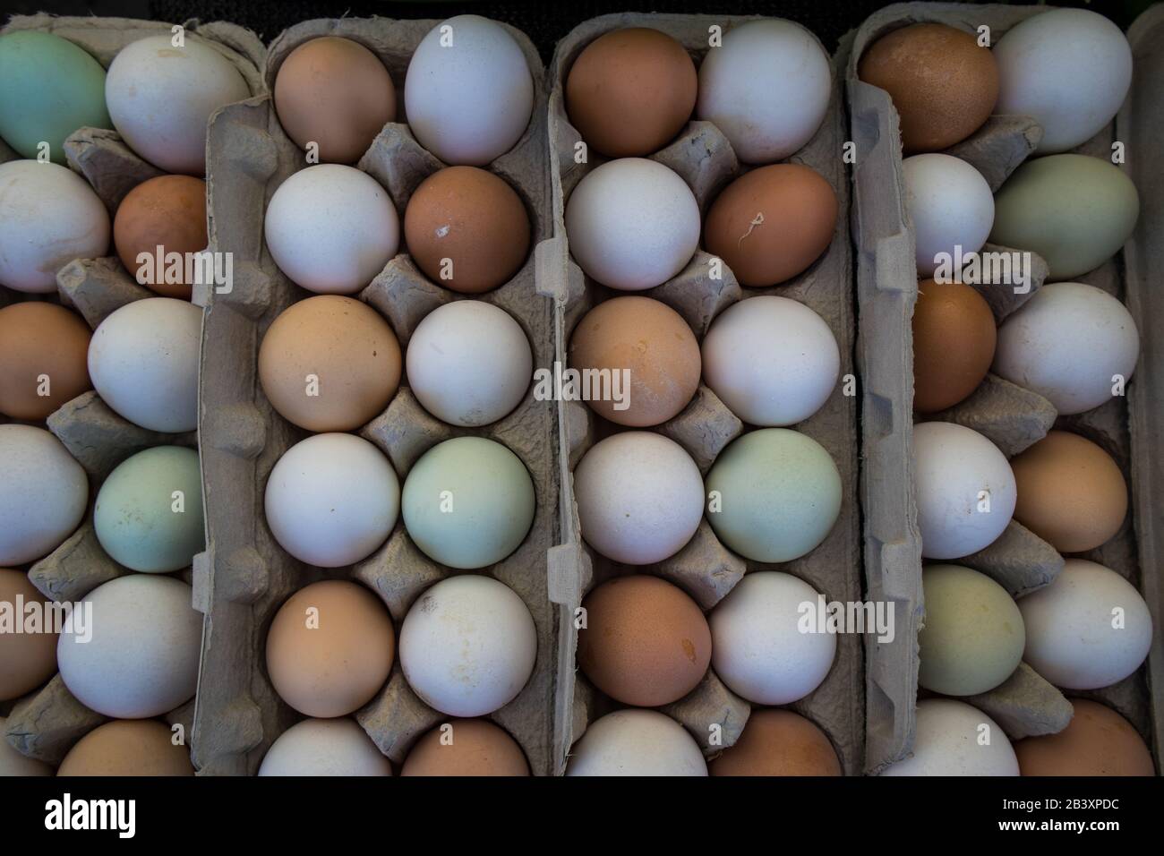 Farm Fresh Carton of Brown White and Green Eggs at Market Stock Photo ...