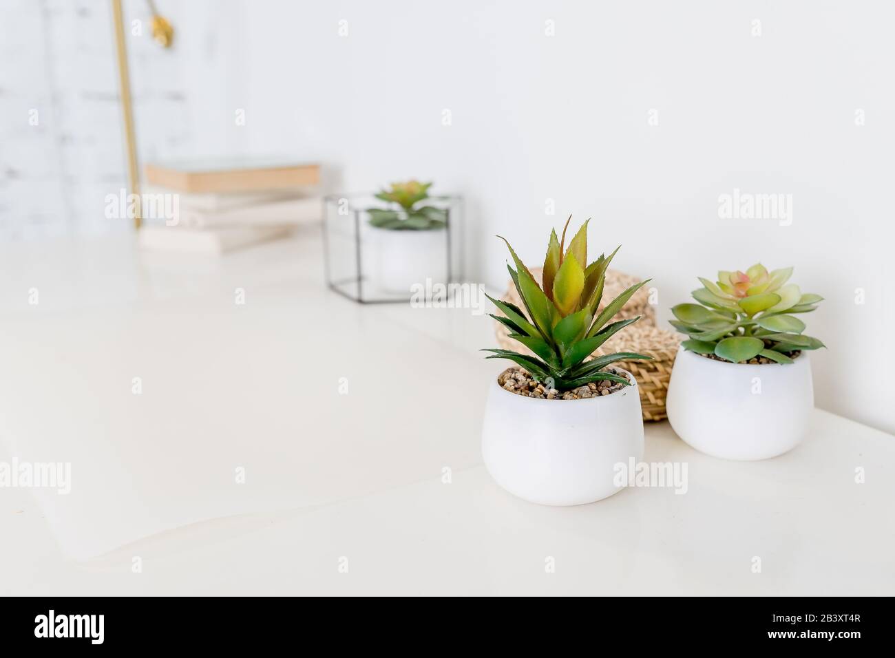 Office or home office desk with decorative plants and cactus. office ...