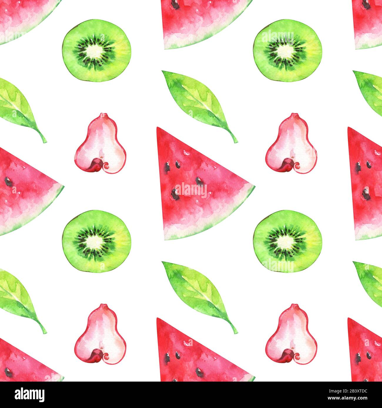Painting kiwi hi-res stock photography and images - Alamy