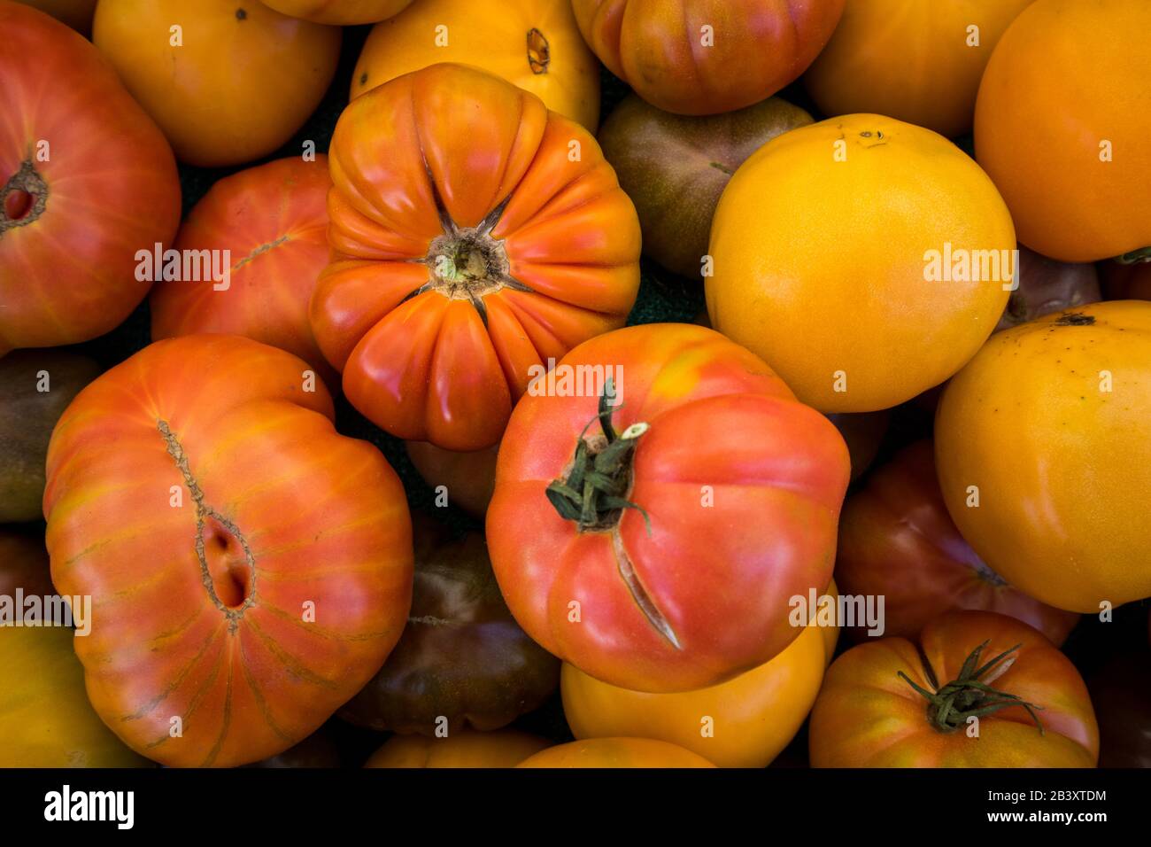 Colorful Heirloom Tomatoes at Market in California Stock Photo - Alamy
