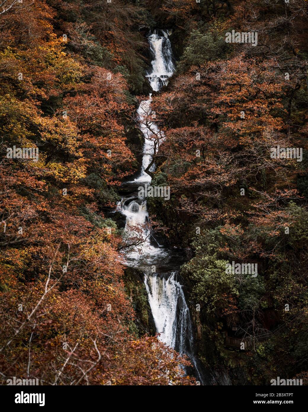 Mynach falls waterfall at devils bridge hi-res stock photography and ...
