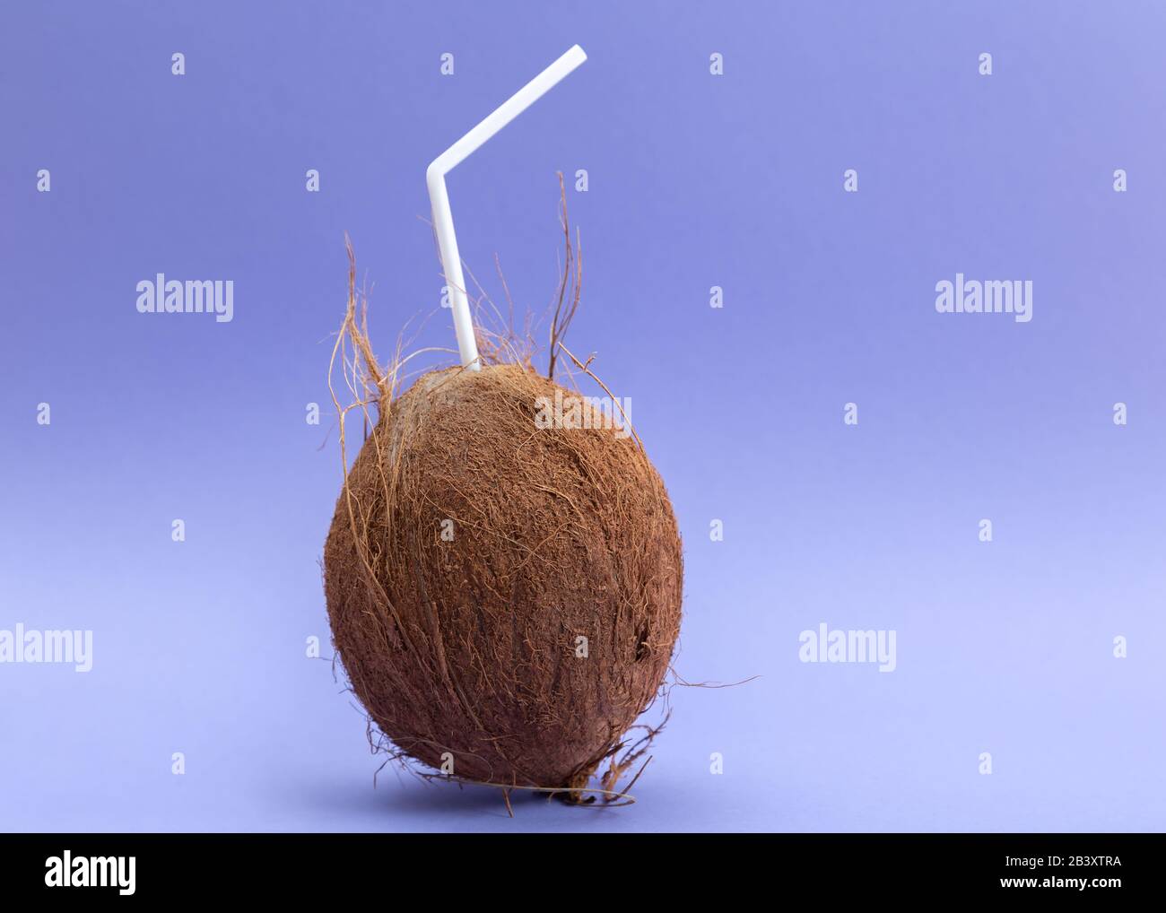 Whole coconut with white straw on purple background Stock Photo - Alamy