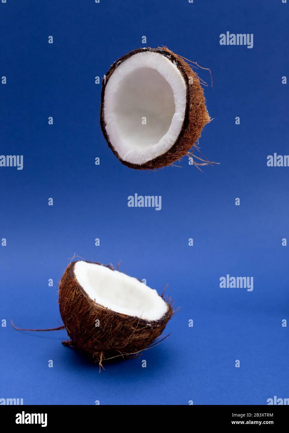 Flying in air fresh ripe coconut on the blue background Stock Photo - Alamy