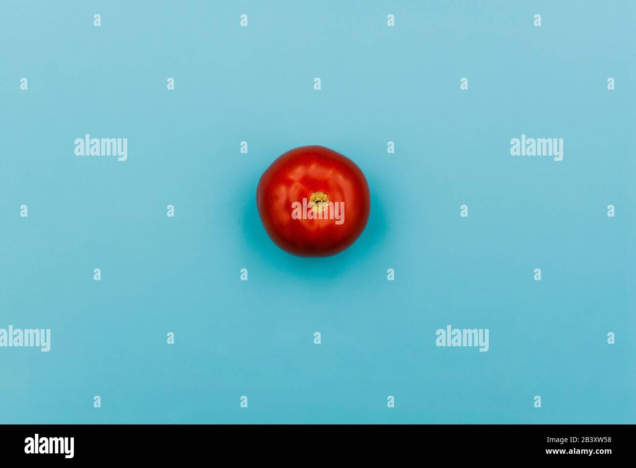 Tomato on a blue background. Red round vegetable for cooking. Flat lay ...