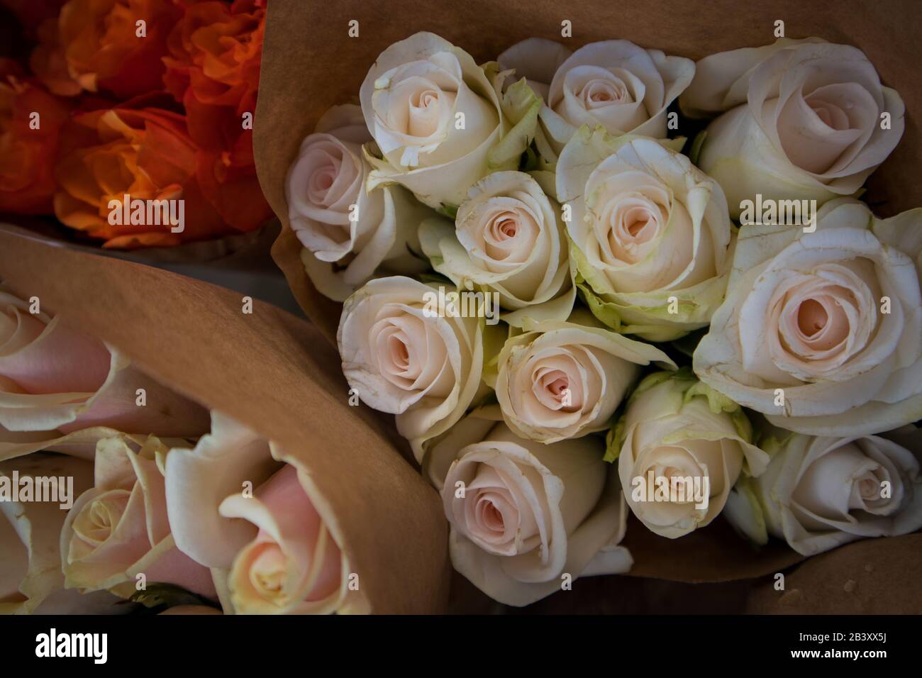 Bunches of pink roses hi-res stock photography and images - Alamy