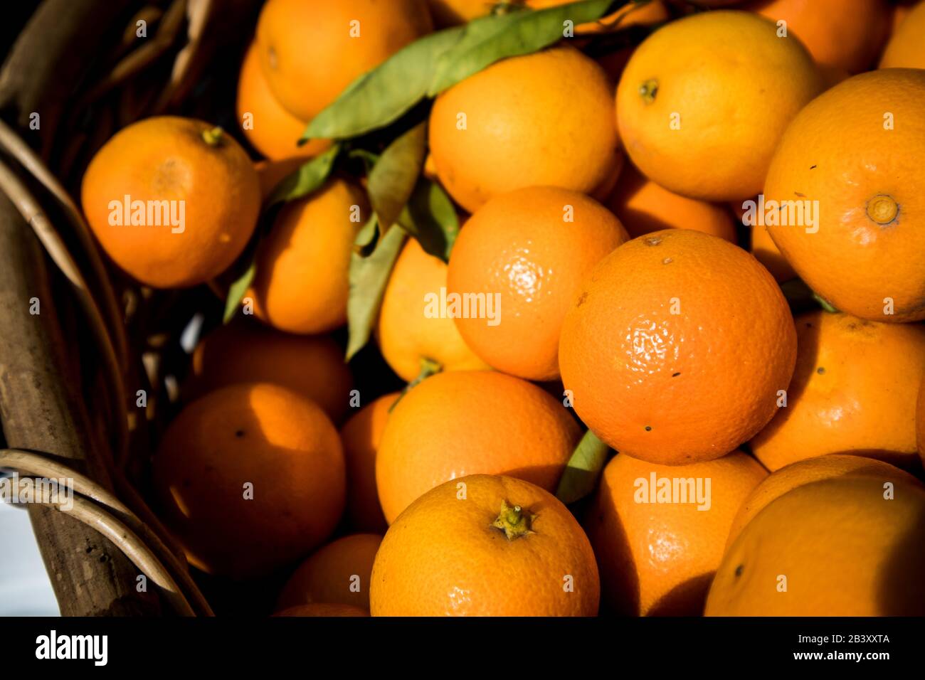 California citrus hi-res stock photography and images - Alamy