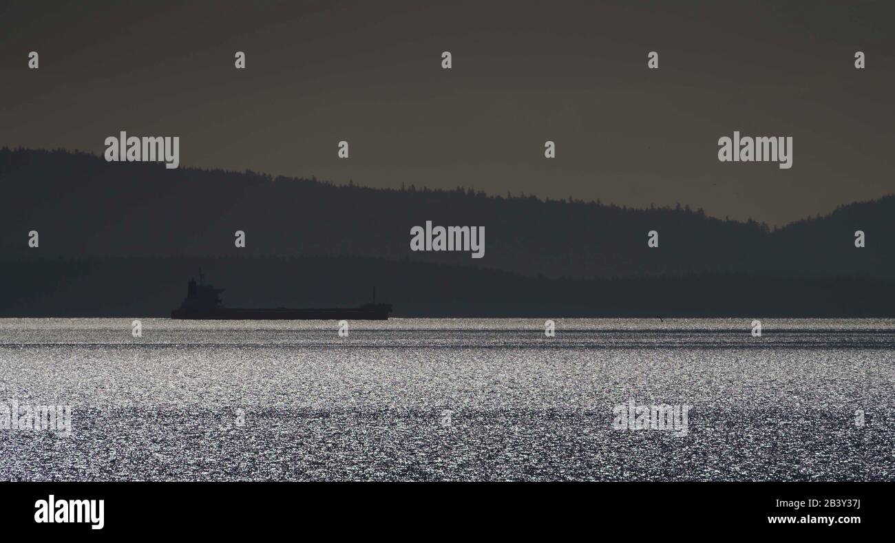 Coast salish hi-res stock photography and images - Alamy
