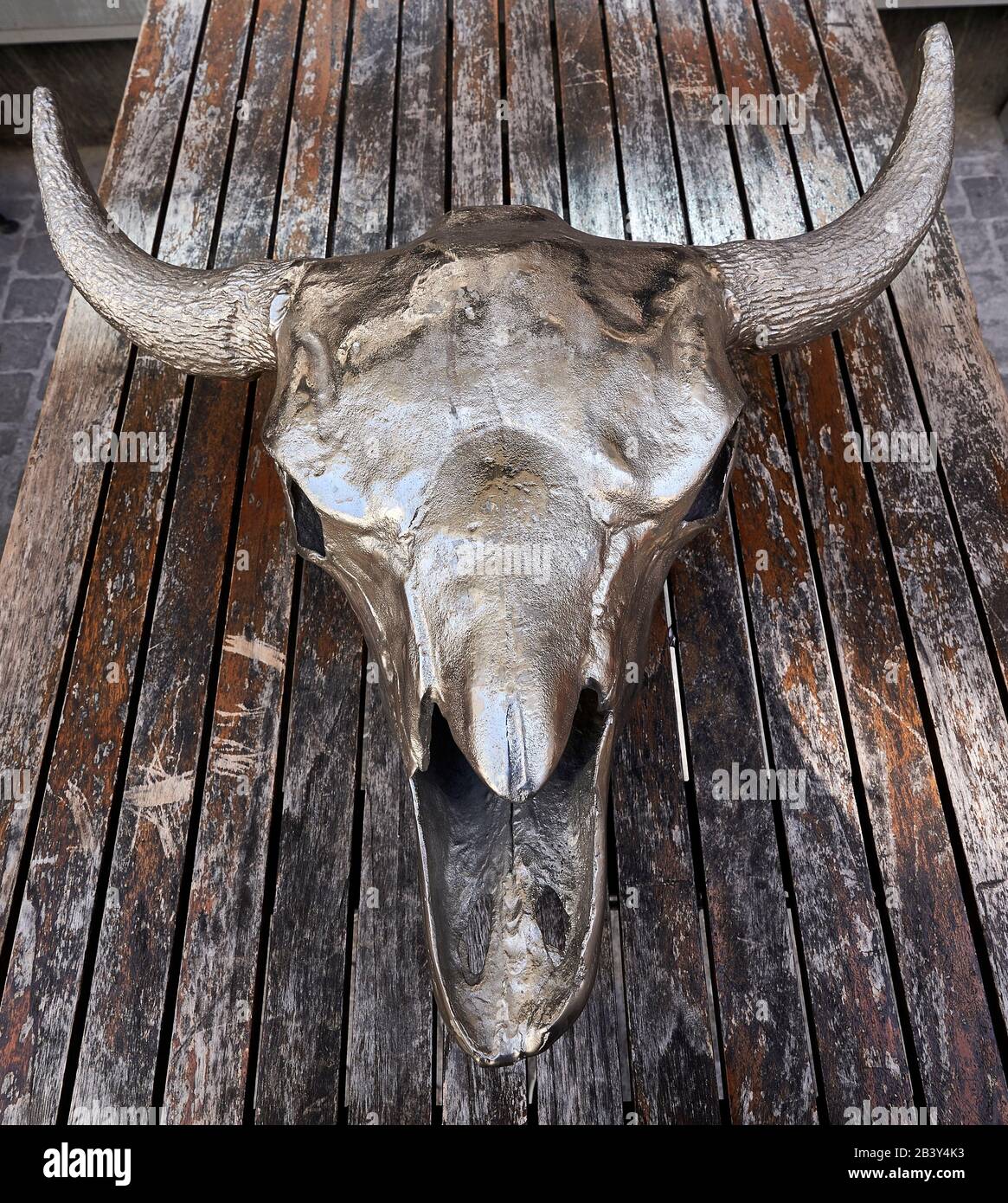 Old buffalo skull hi-res stock photography and images - Alamy