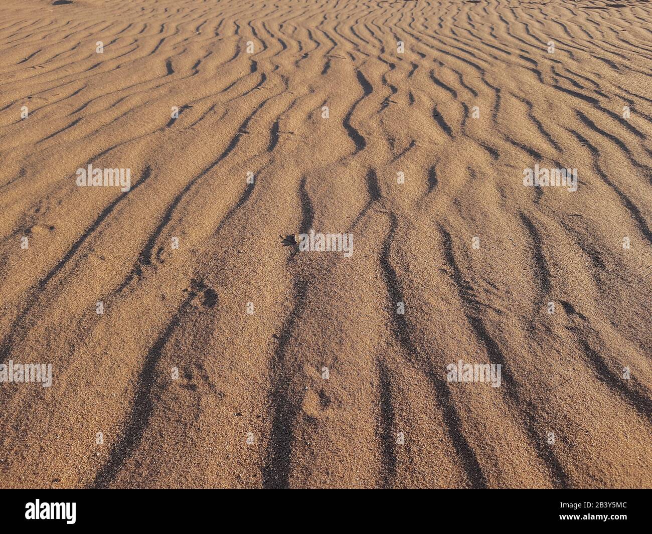 ripple marks in desert which forms by wind Stock Photo - Alamy