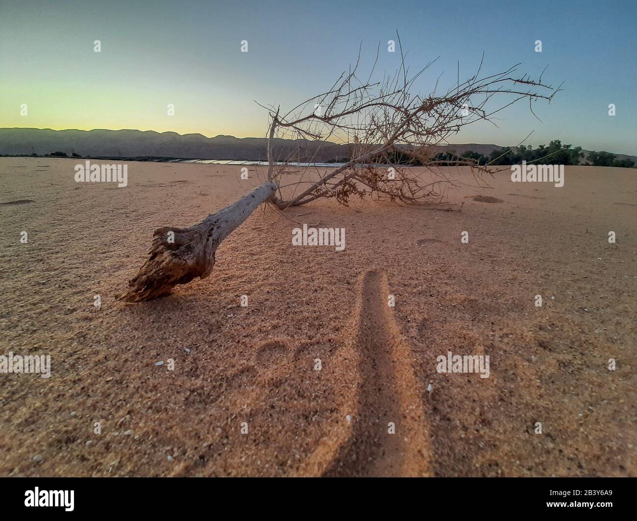 Ripple marks in sea hi-res stock photography and images - Alamy