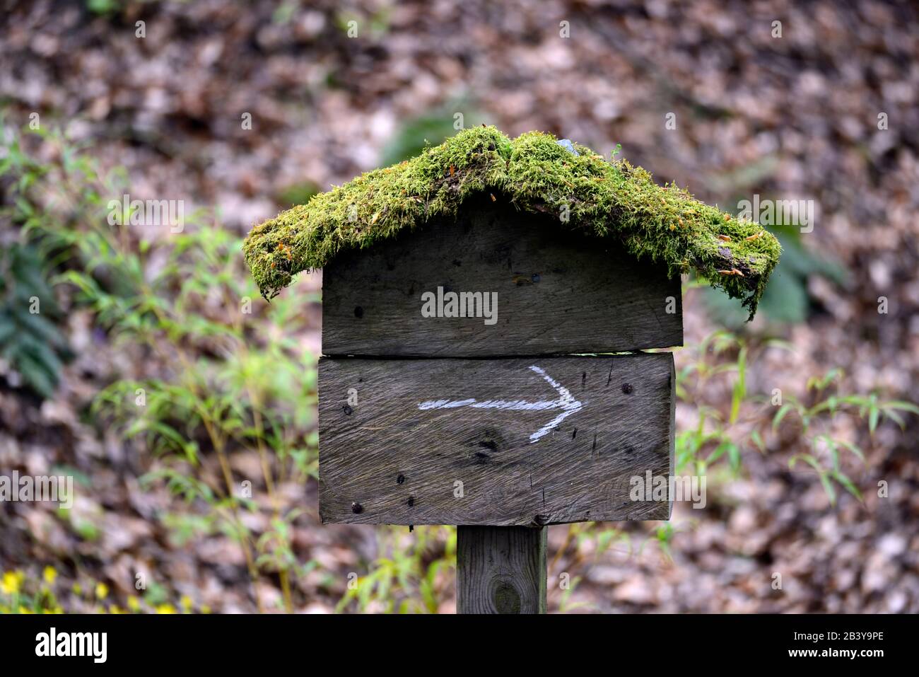 Wooden sign directions hi-res stock photography and images - Alamy