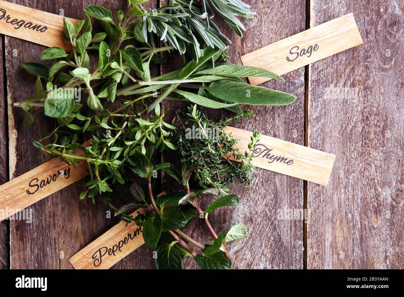Homegrown and aromatic herbs on rustic background.Set of culinary herbs ...