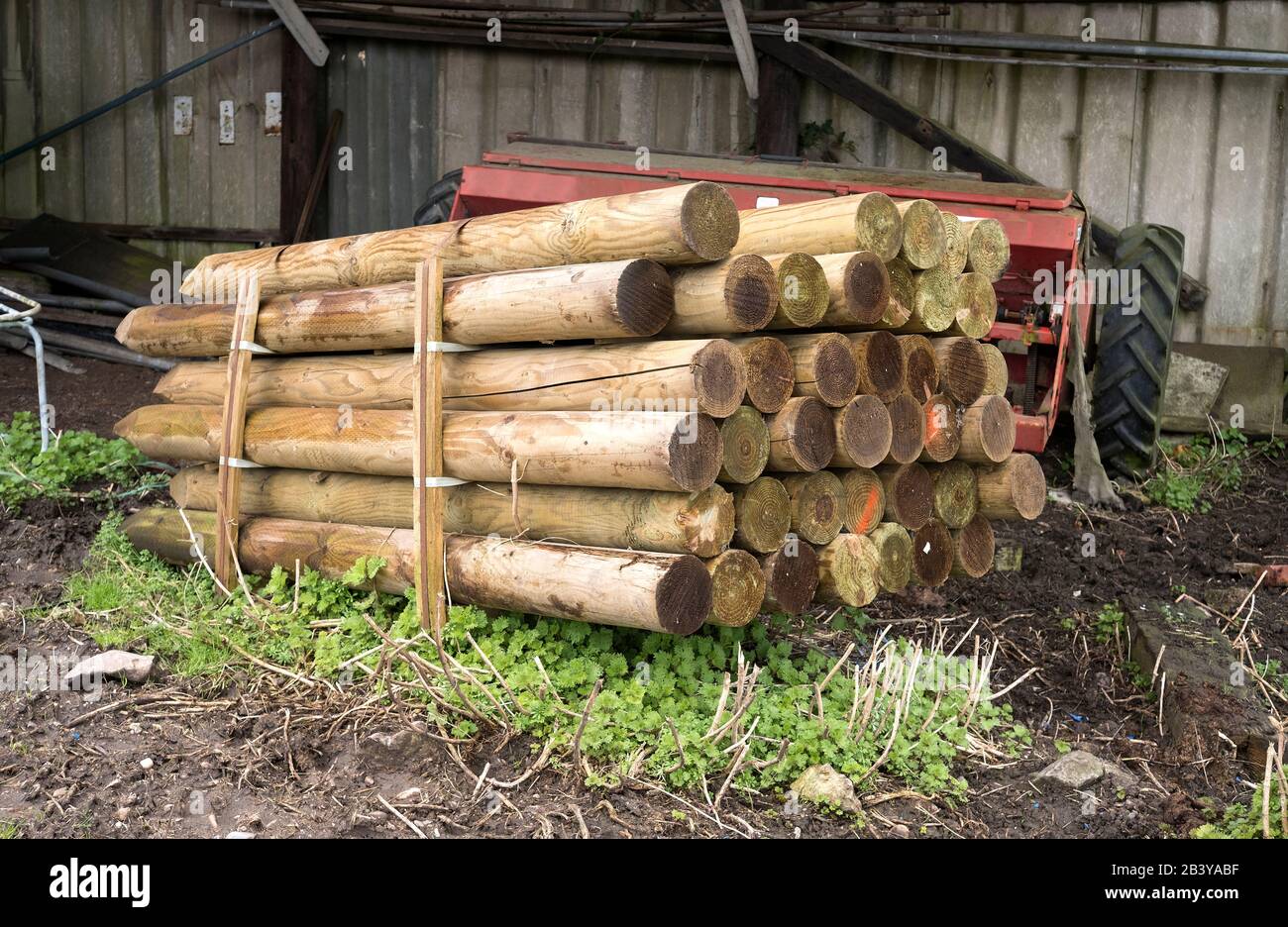 Stack of processed timber fence posts Stock Photo - Alamy