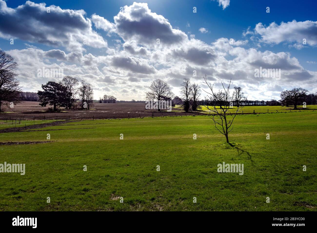 British Landscape, Field view From Brodsworth hall Stock Photo - Alamy