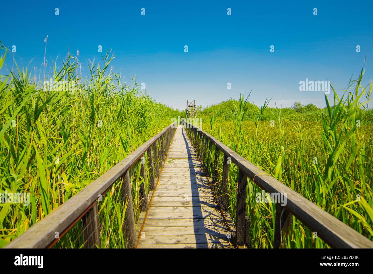 Narrow deck hi-res stock photography and images - Alamy