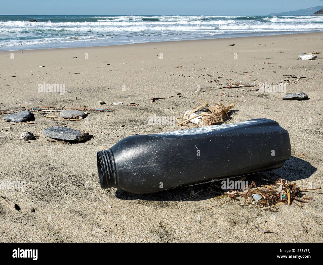 Plastic container on sandy sea coast plant ecosystem,pollution free ...