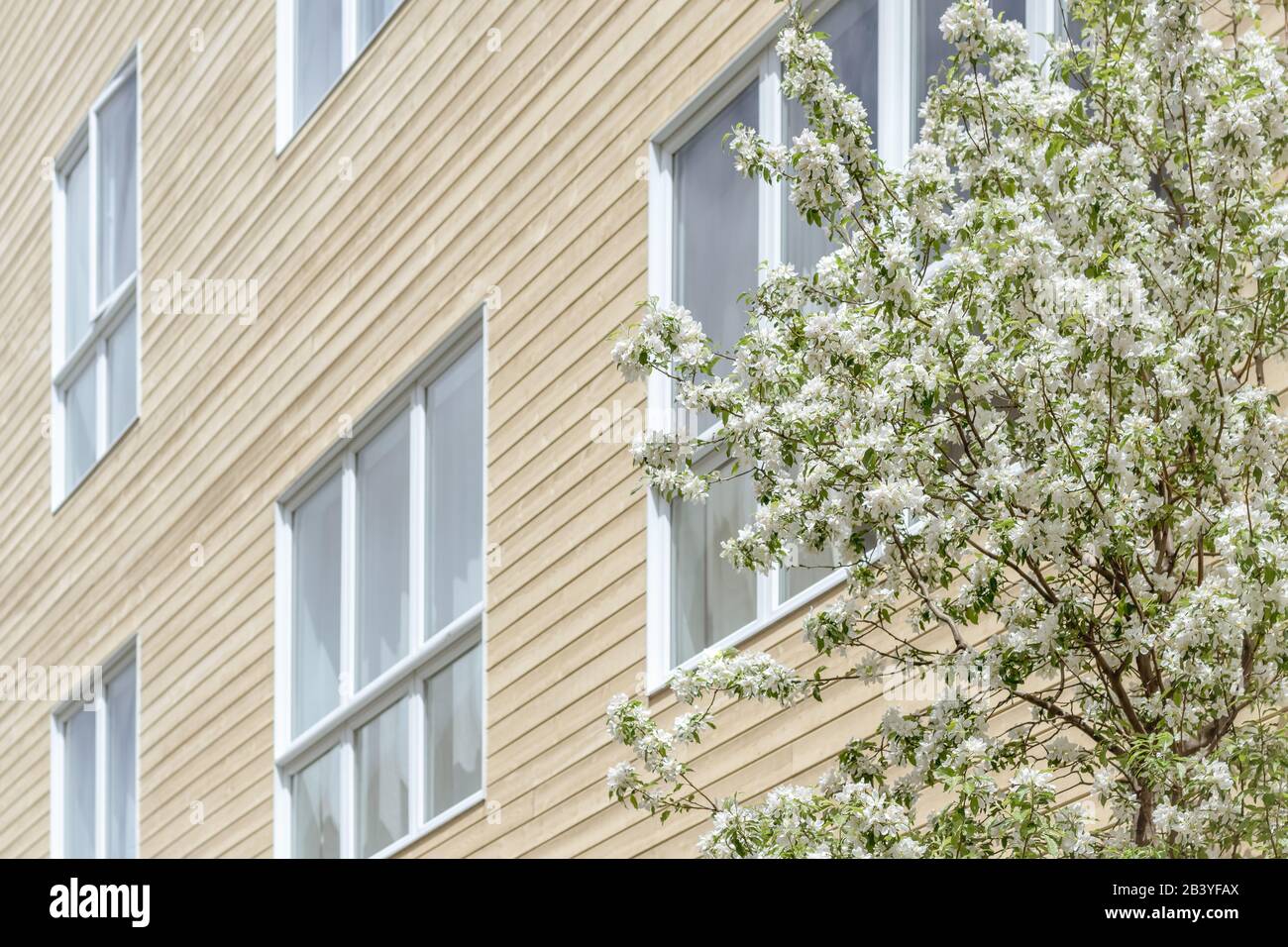 Modern clean fresh building hi-res stock photography and images - Alamy