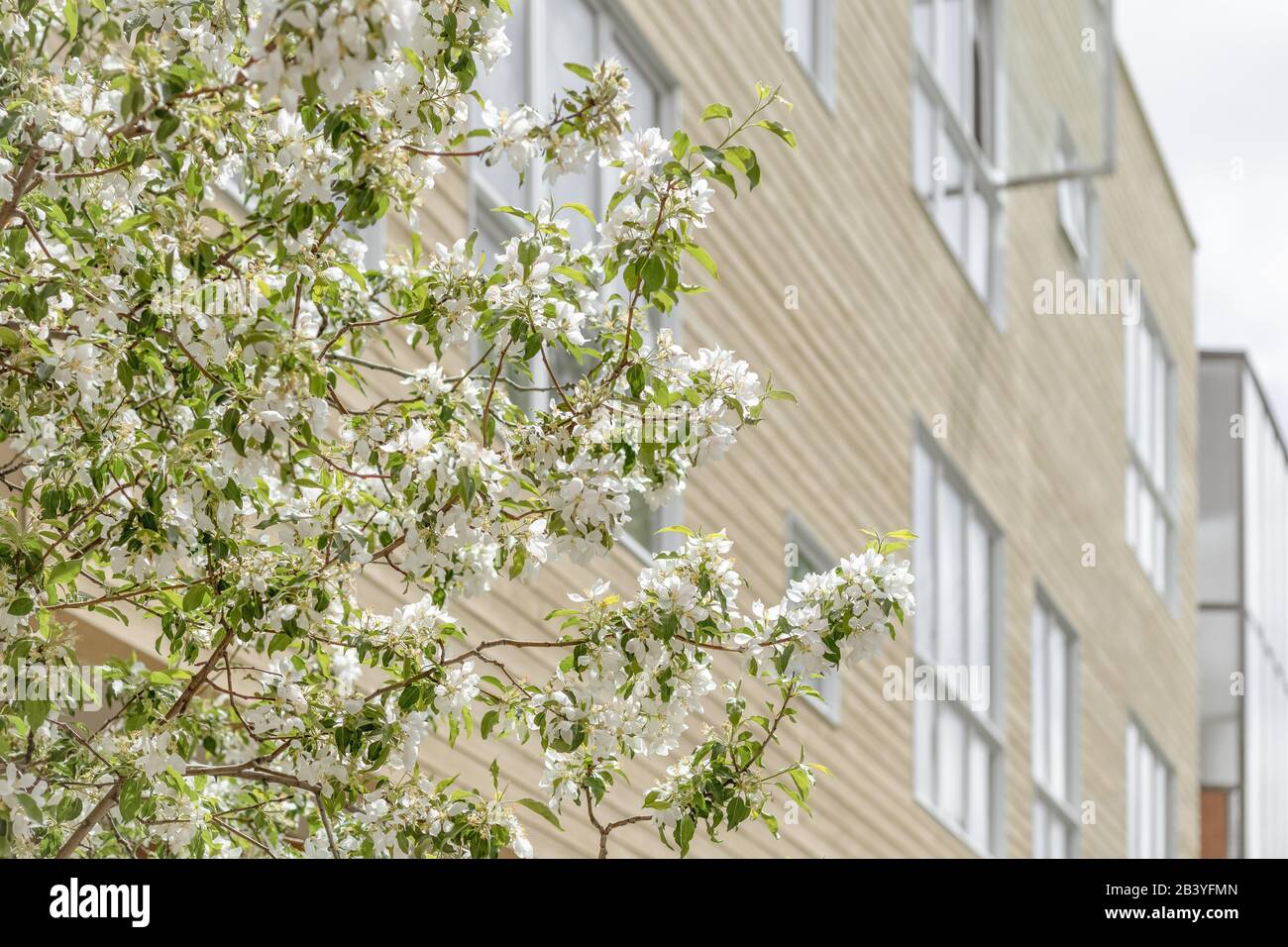 Modern clean fresh building hi-res stock photography and images - Alamy