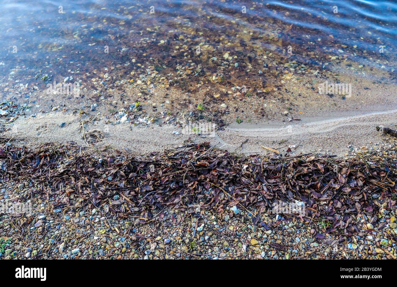 Beautiful smooth water surface texture with small waves and sunlight ...