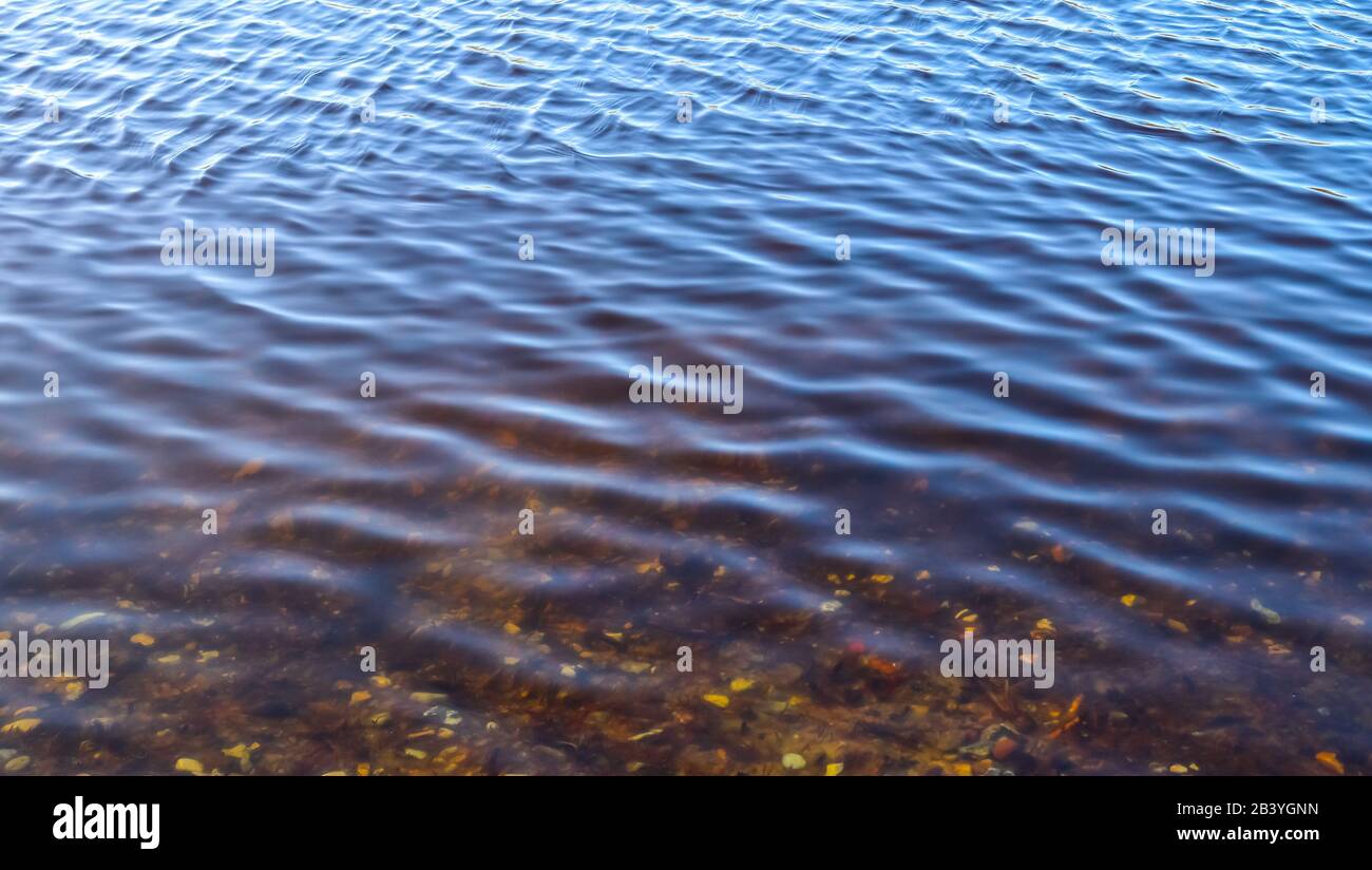 Beautiful smooth water surface texture with small waves and sunlight ...