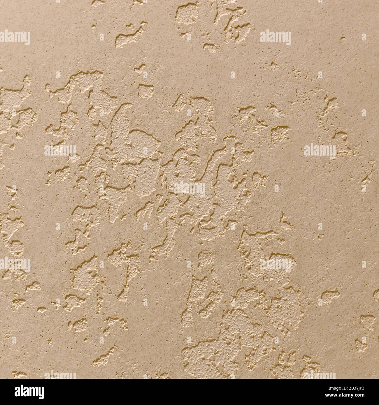 The plaster is a matte sandy texture rough in the hollows and with a ...