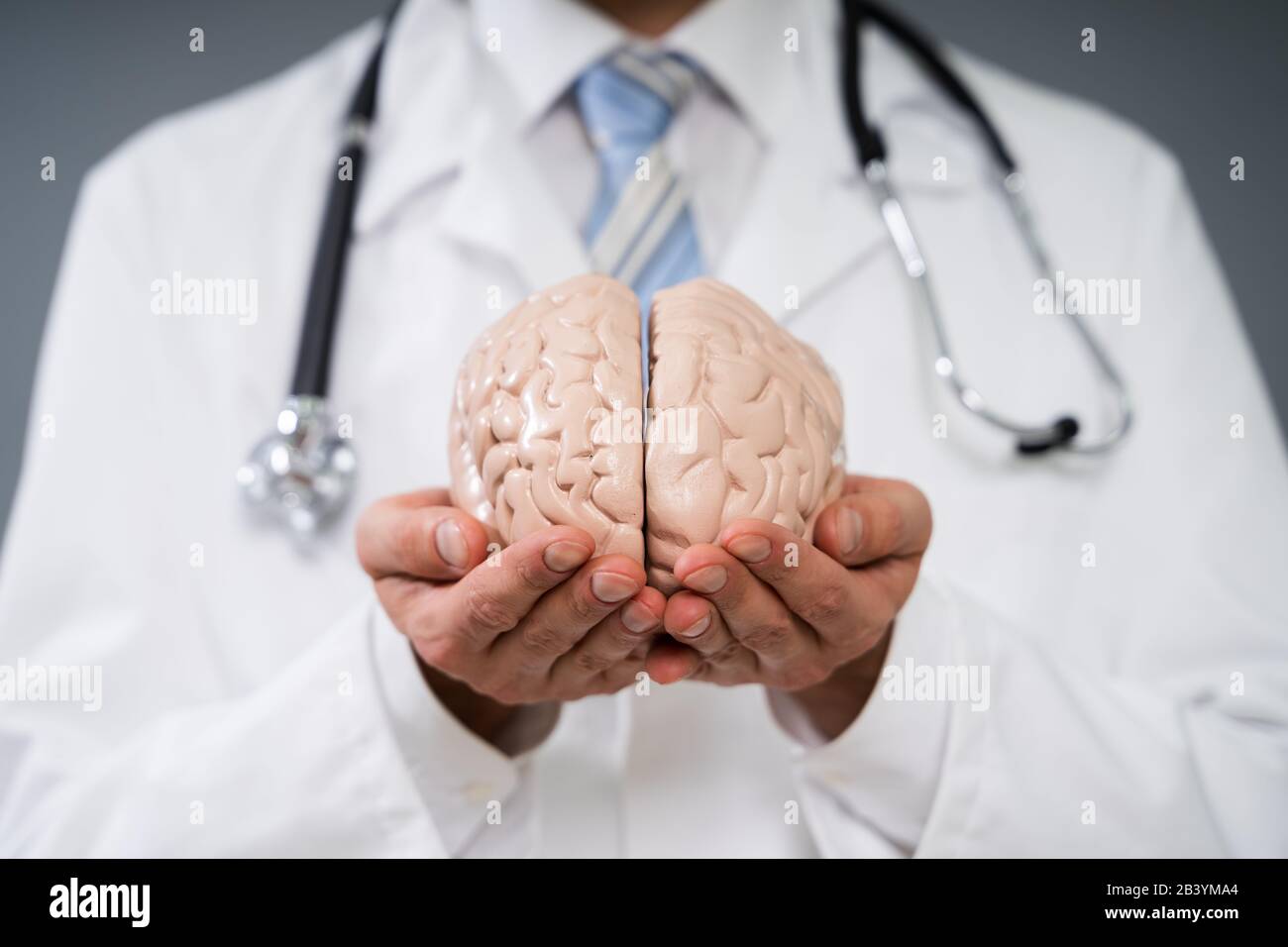 Hand holding human brain organ hi-res stock photography and images - Alamy