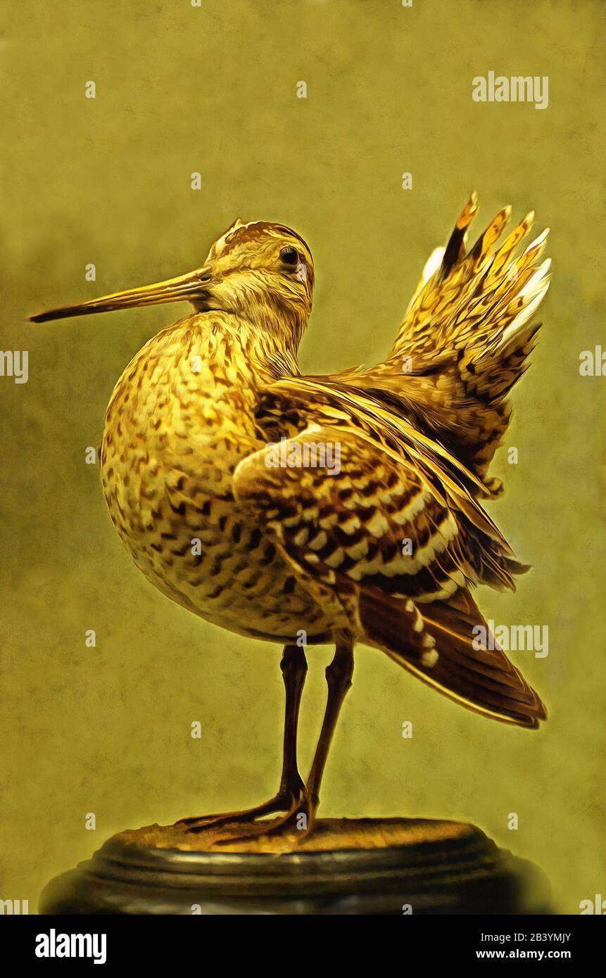 Dupel painting hi-res stock photography and images - Alamy