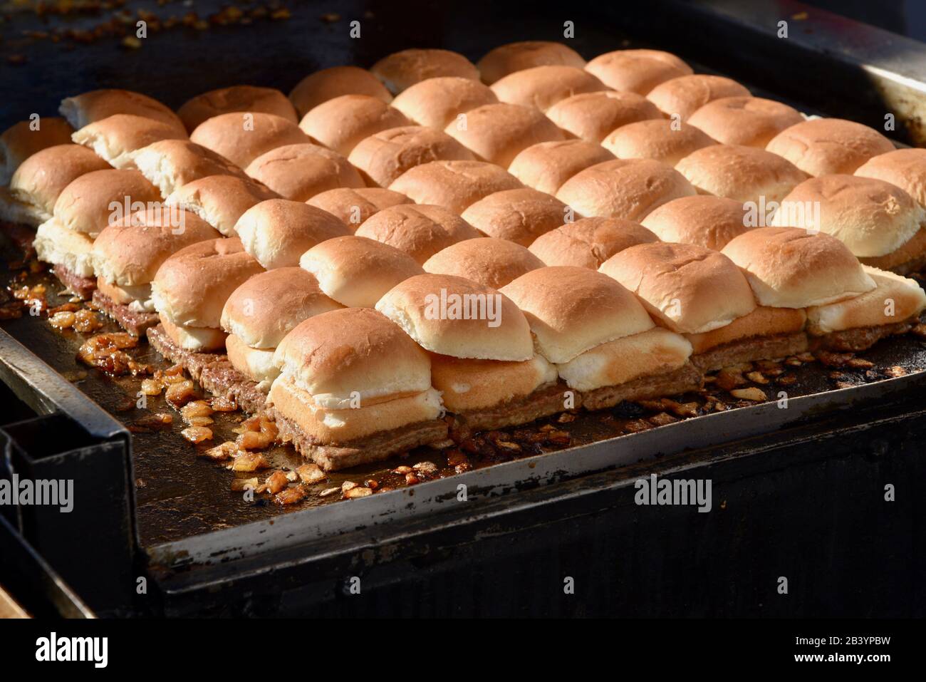 Grilled vegan, plant-based protein (fake meat) "beef" Impossible ...