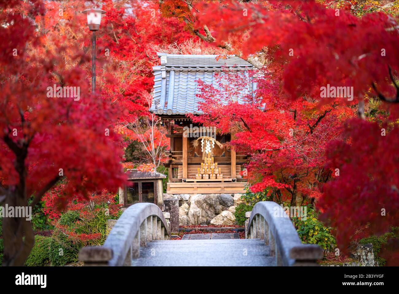 Kyoto eikando temple hi-res stock photography and images - Alamy