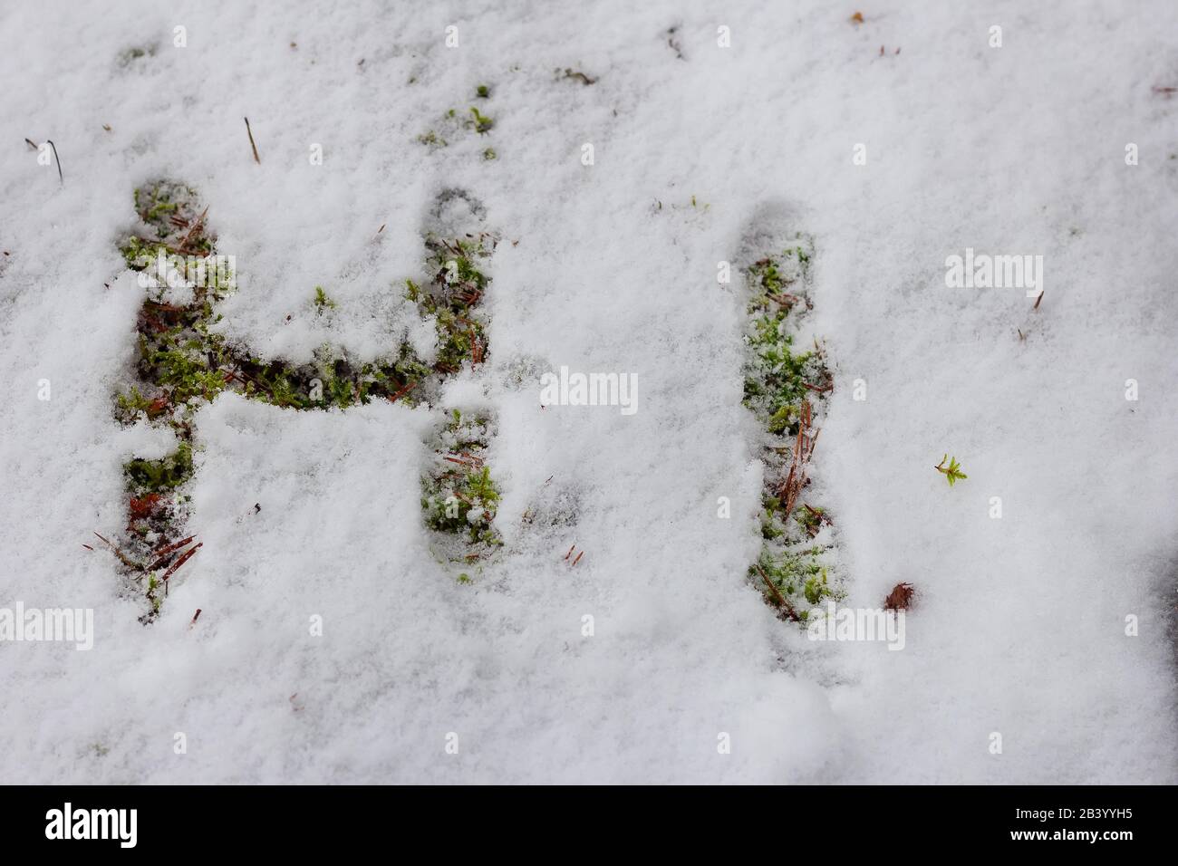hello inscription on the lettering spring snow melt Stock Photo - Alamy