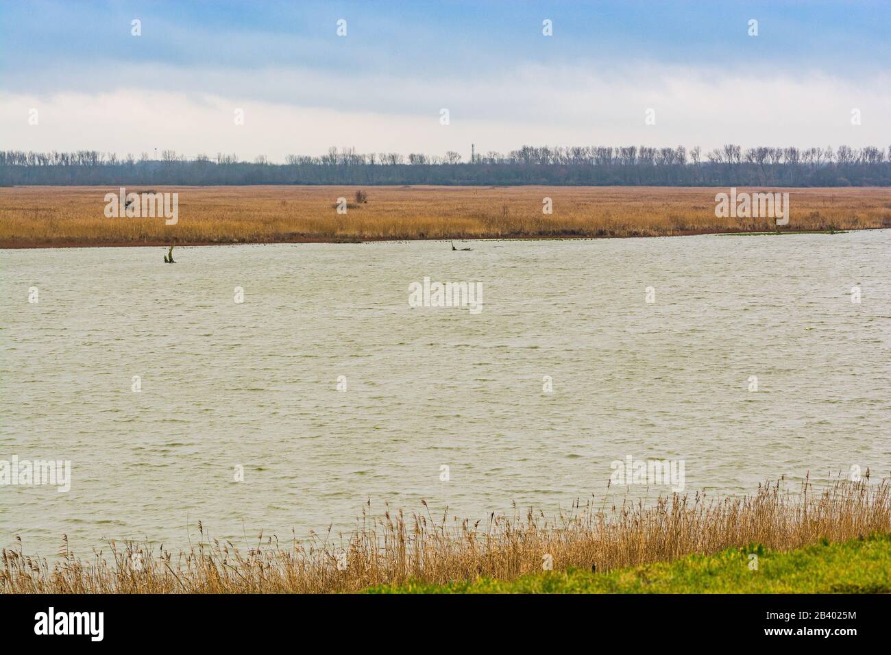 Almere nature hi-res stock photography and images - Alamy