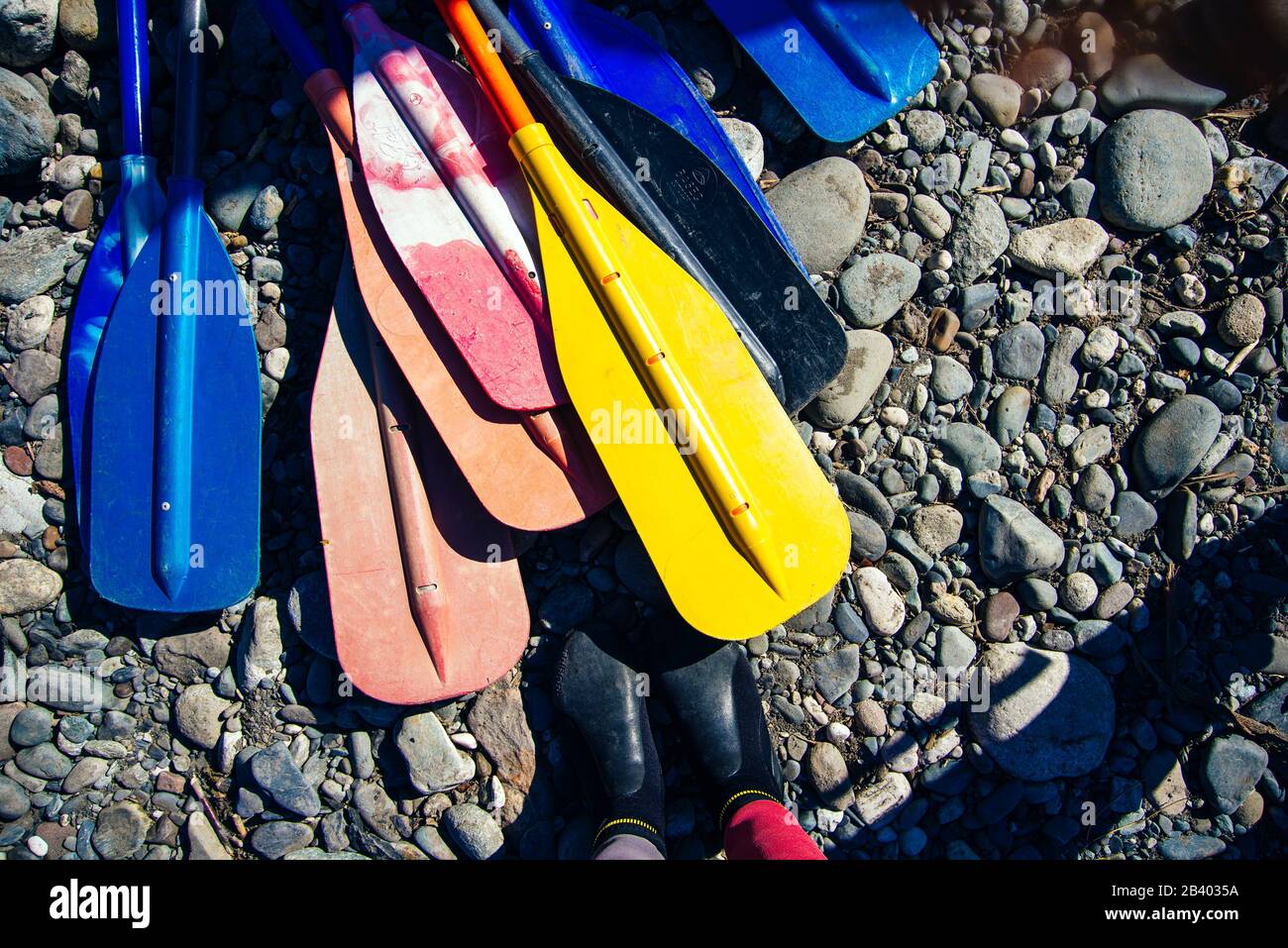 set of colorful oar and paddles of kayak and canoe sport Stock Photo ...