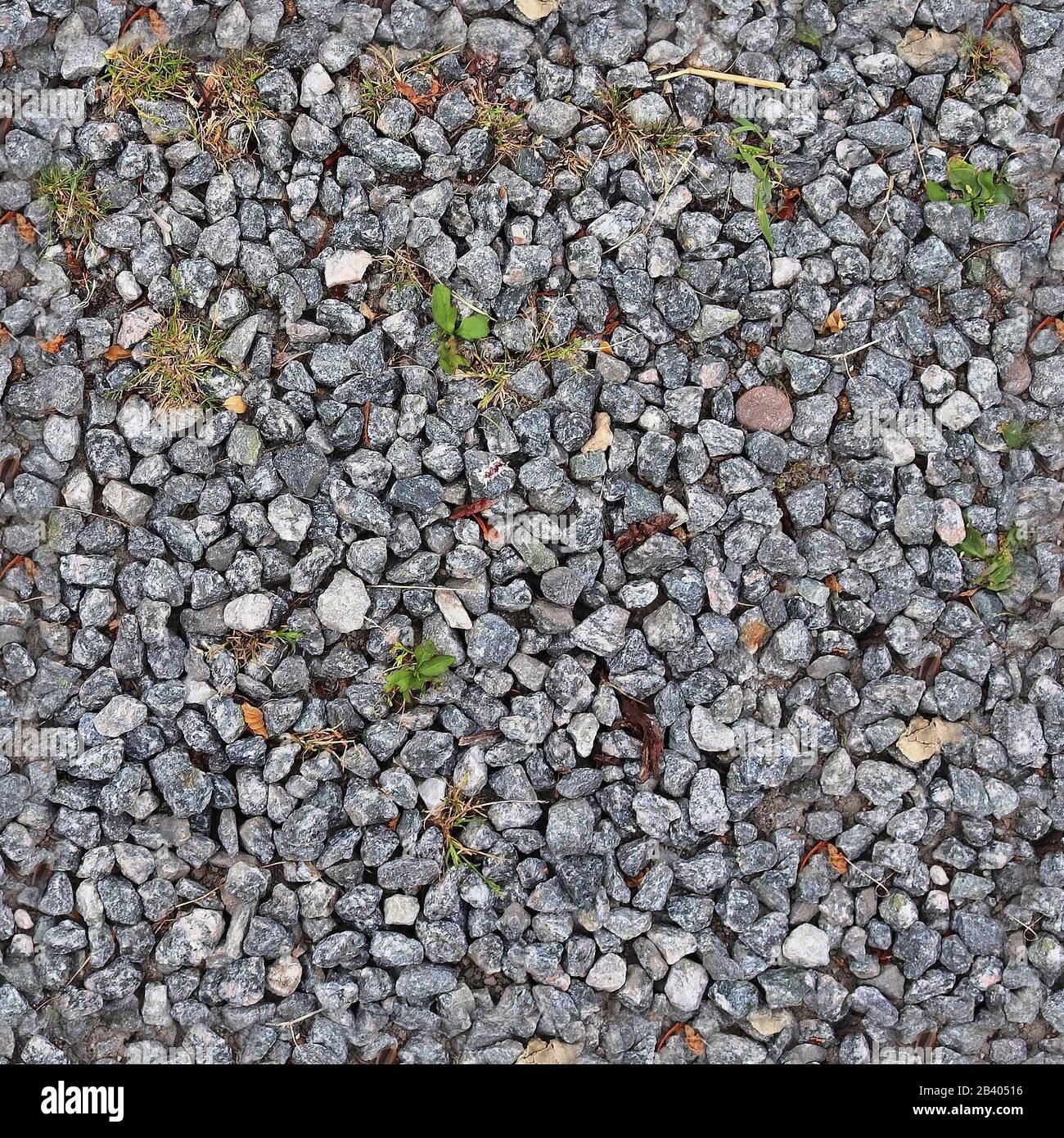 Photo realistic seemless texture pattern of pebbles and stones in high ...