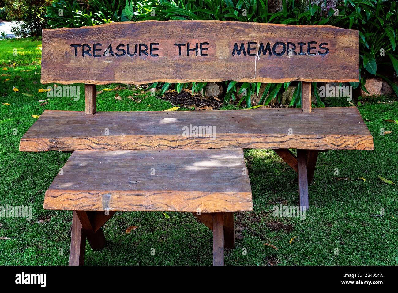 A timber bench under a tree with the words Treasure The Memories ...