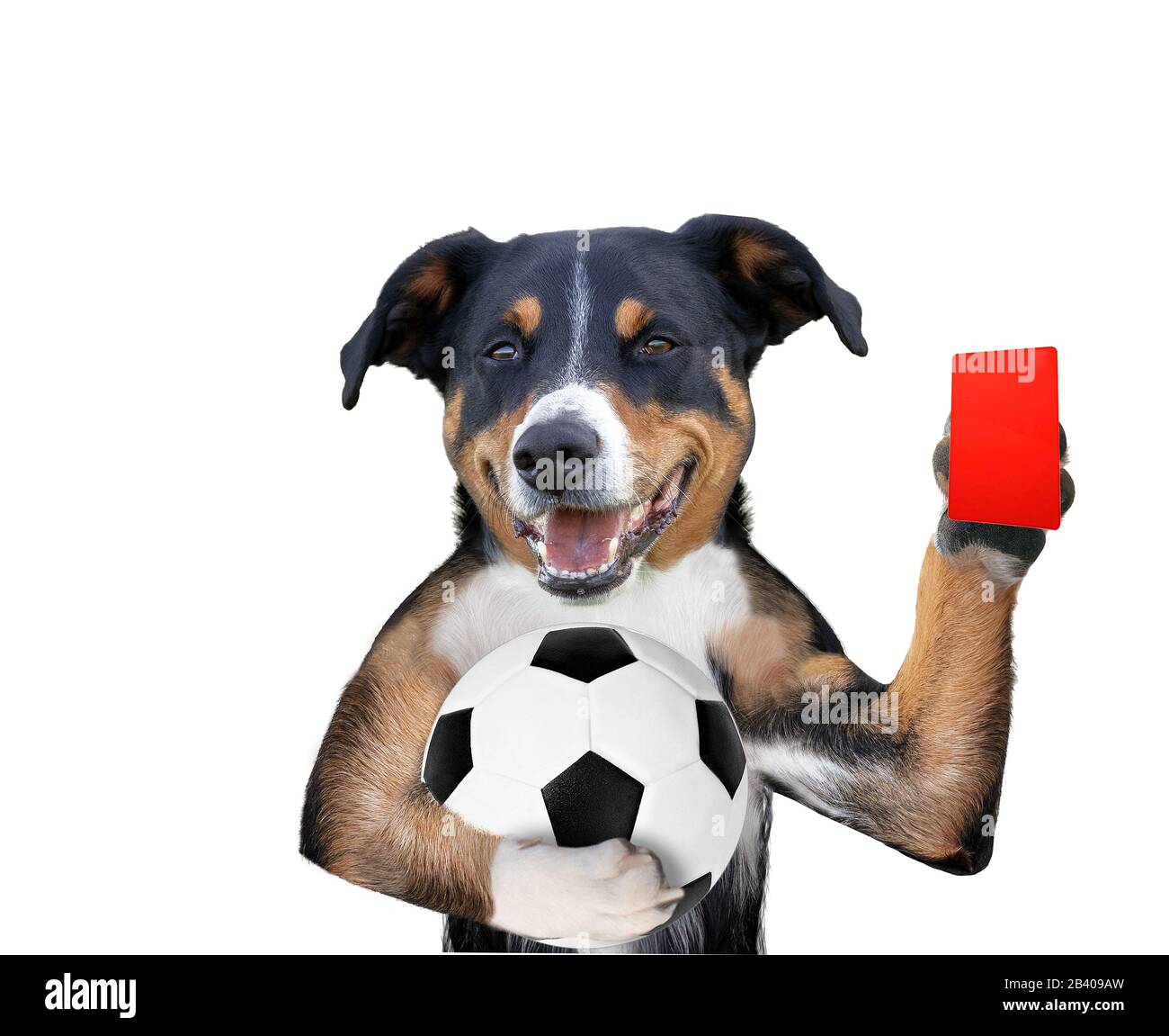 Soccer player wearing red hi-res stock photography and images - Alamy
