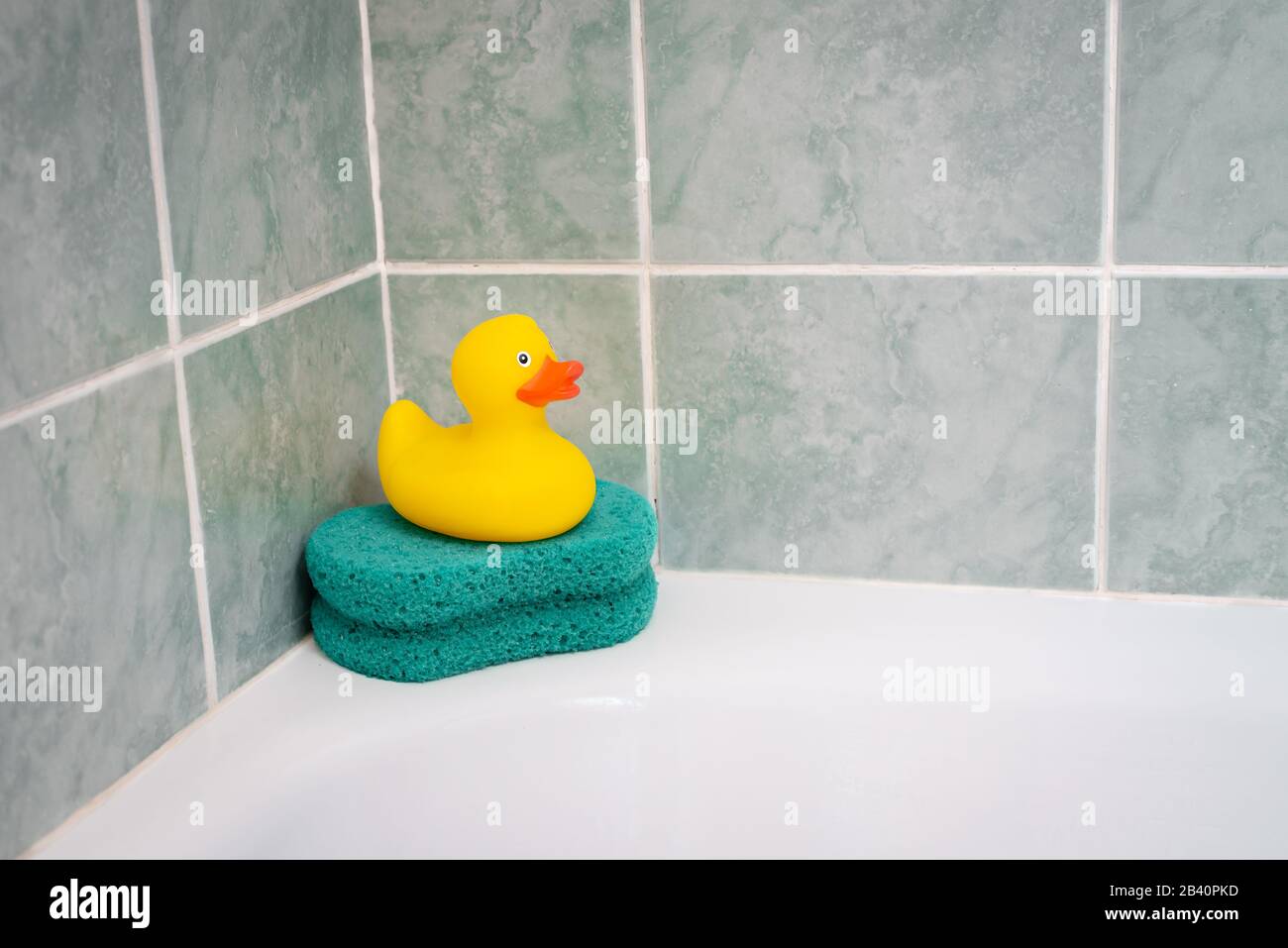 Bathroom animal hi-res stock photography and images - Alamy