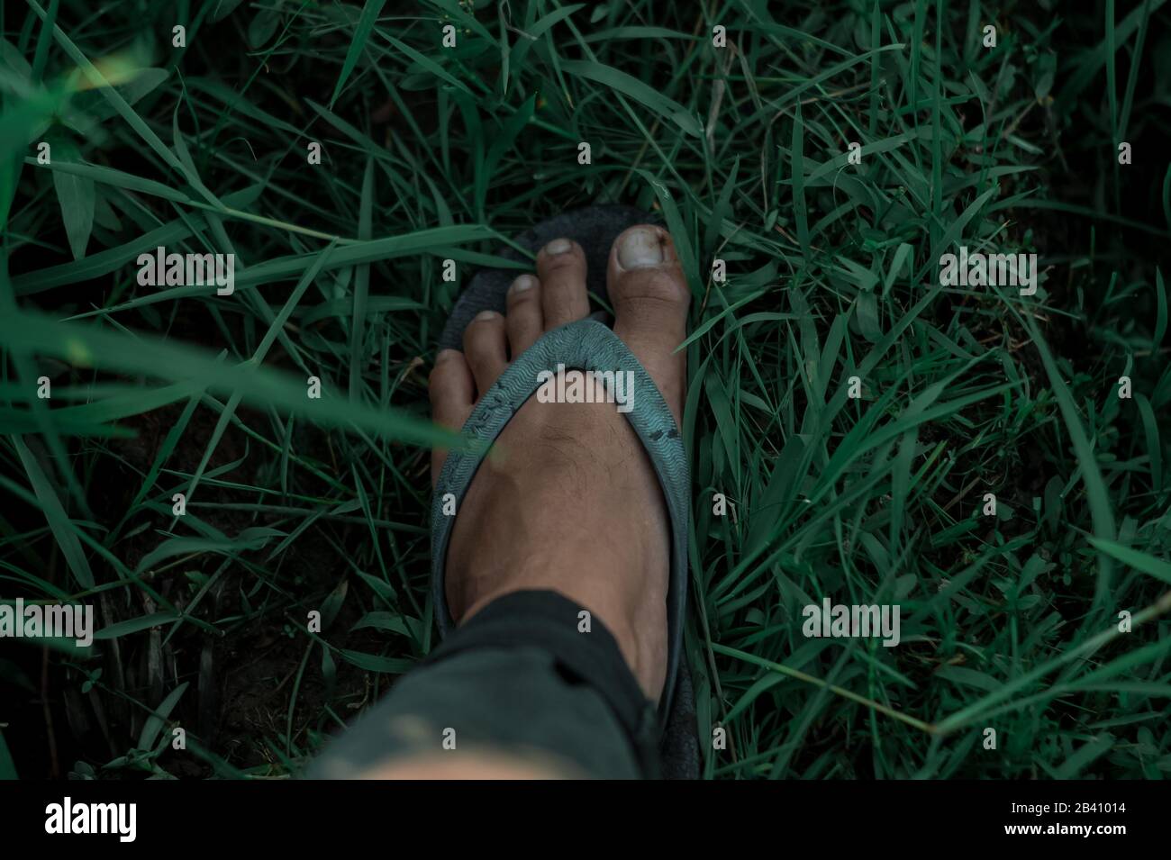 Grass foot hi-res stock photography and images - Alamy
