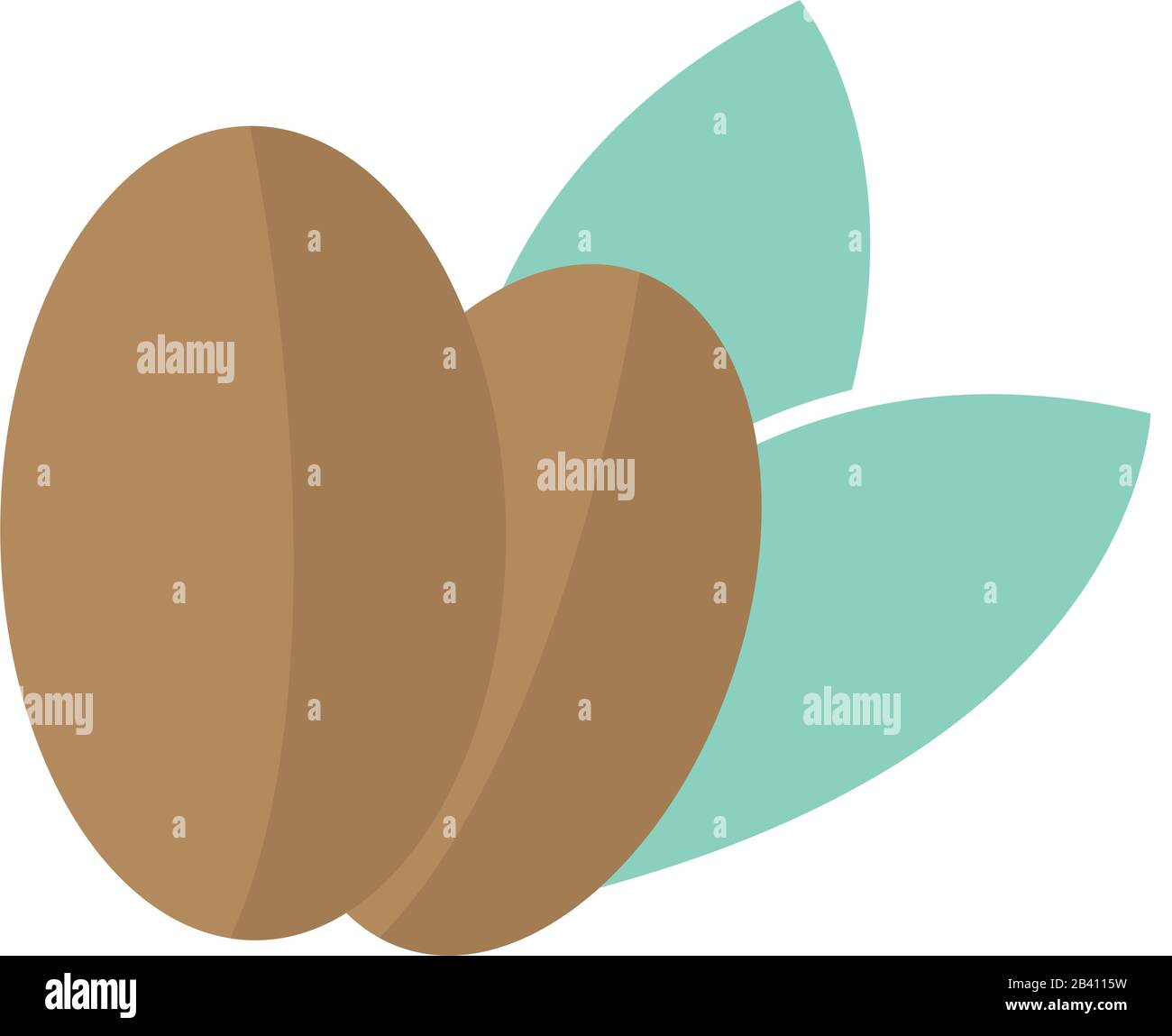 coffee seed leaves organic product vector illustration tone color icon ...