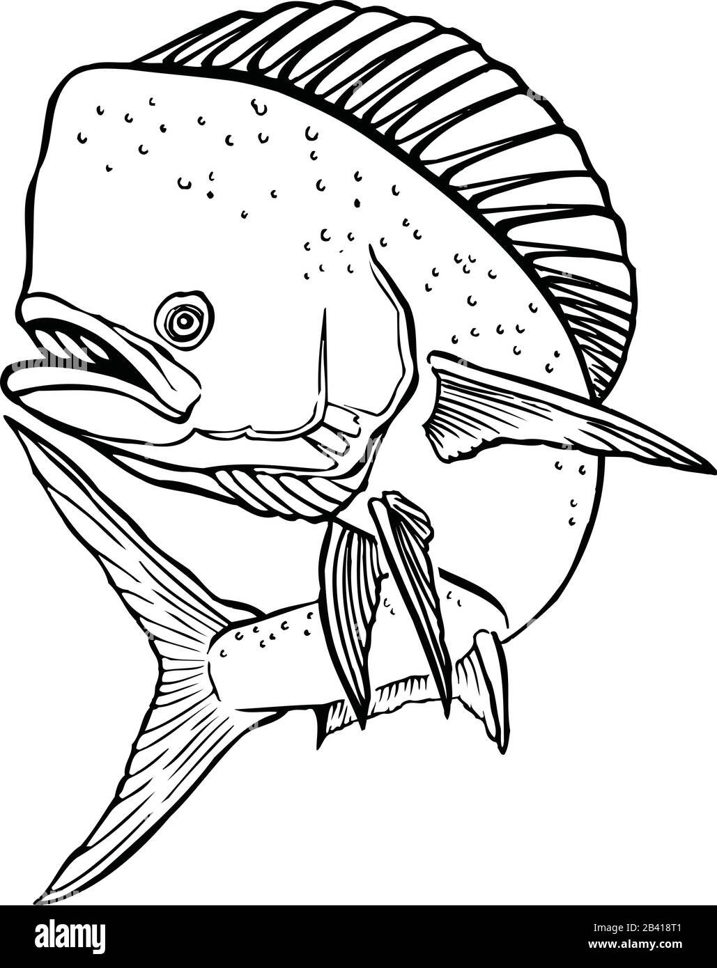 Dolphin Vector Illustration Stock Vector Image & Art - Alamy