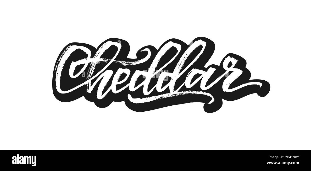 Cheddar. Vector organic food calligraphy. Vintage lettering design ...