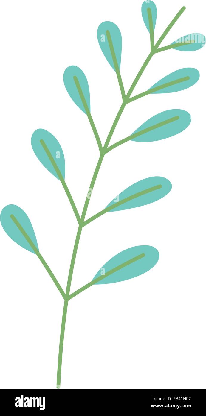 greenery branch leaves foliage ecology botanical icon vector ...