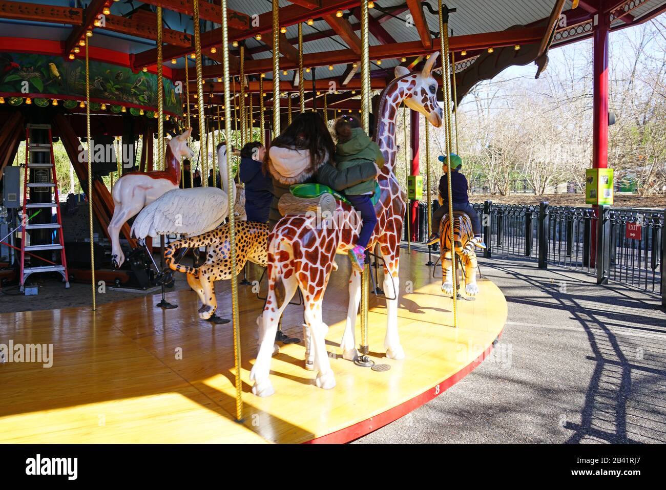 Speedwell avenue hi-res stock photography and images - Alamy
