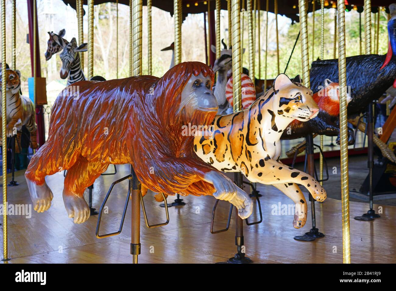 Washington National Zoo Carousel