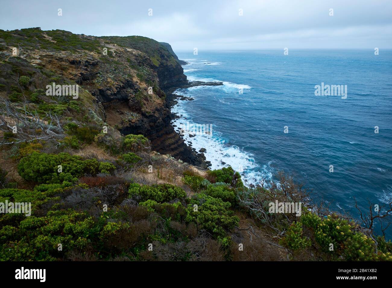 A view along the seal walk trail at Cape Bridgewater. Along the Great ...