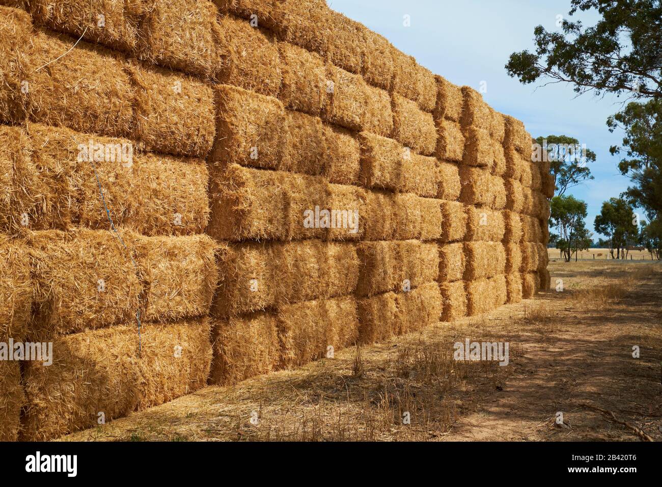 Newly cut hay hi-res stock photography and images - Alamy