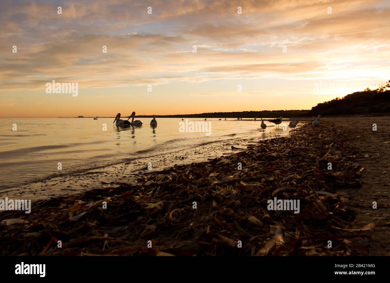 sunset on the beach Stock Photo - Alamy
