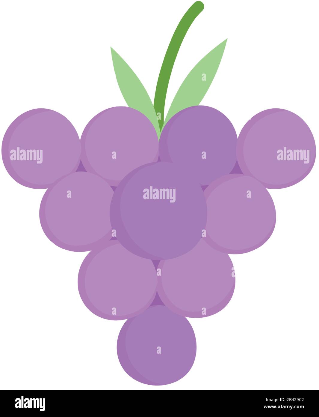 bunch grapes fresh fruit cartoon style icon design vector illustration ...