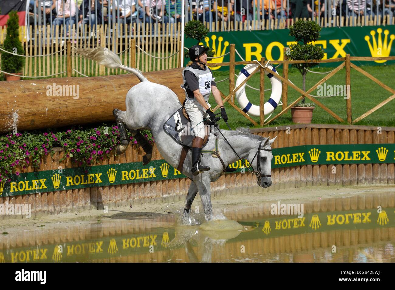 Riding lion hi-res stock photography and images - Alamy